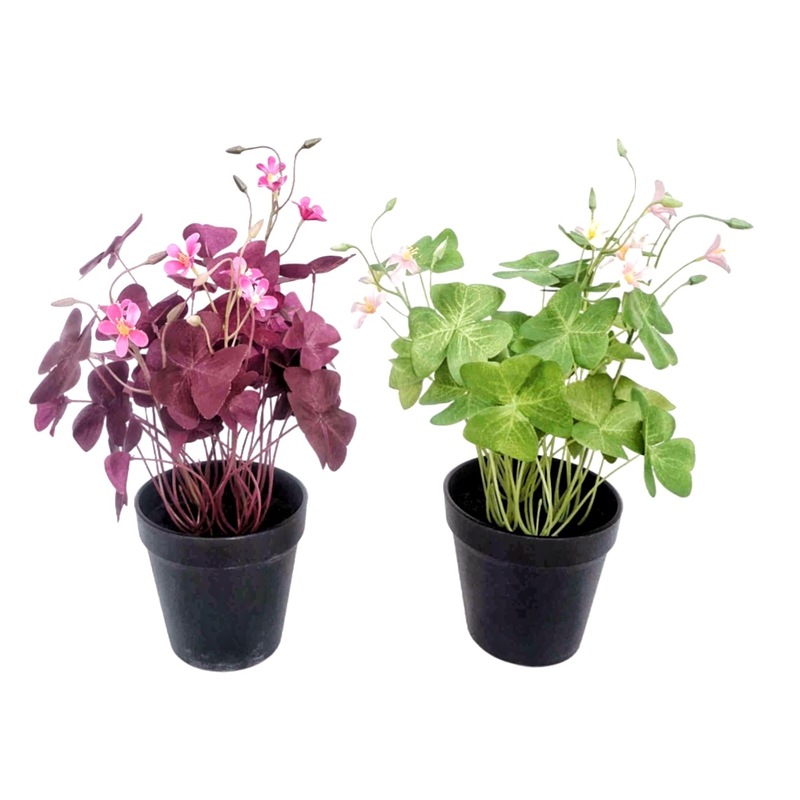 Buy Set 2 Faux Clover In Pot Assort Plant Fake Floral Artificial ...
