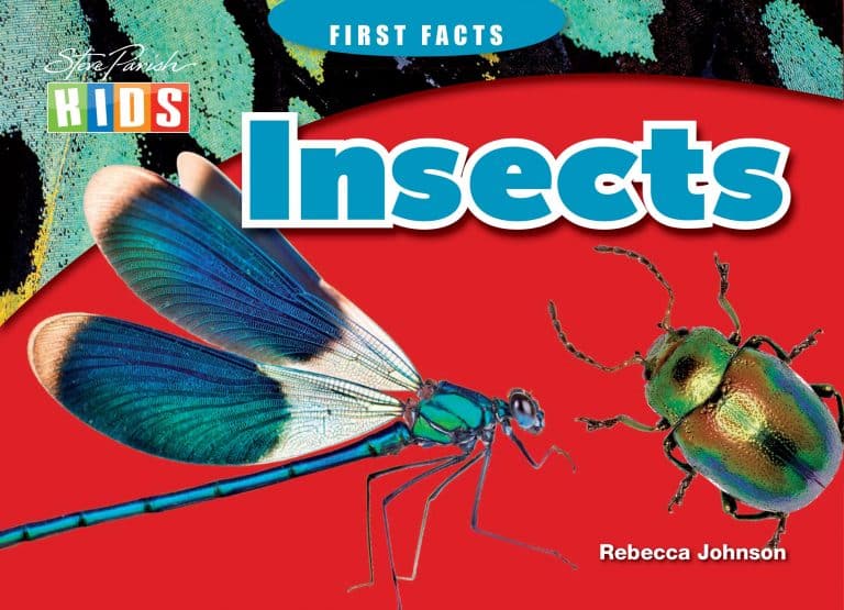 Buy First Facts - Insects - MyDeal Australia