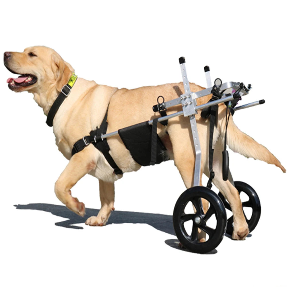 Buy Dog Rear Limb Rehabilitation Wheelchair - MyDeal Australia