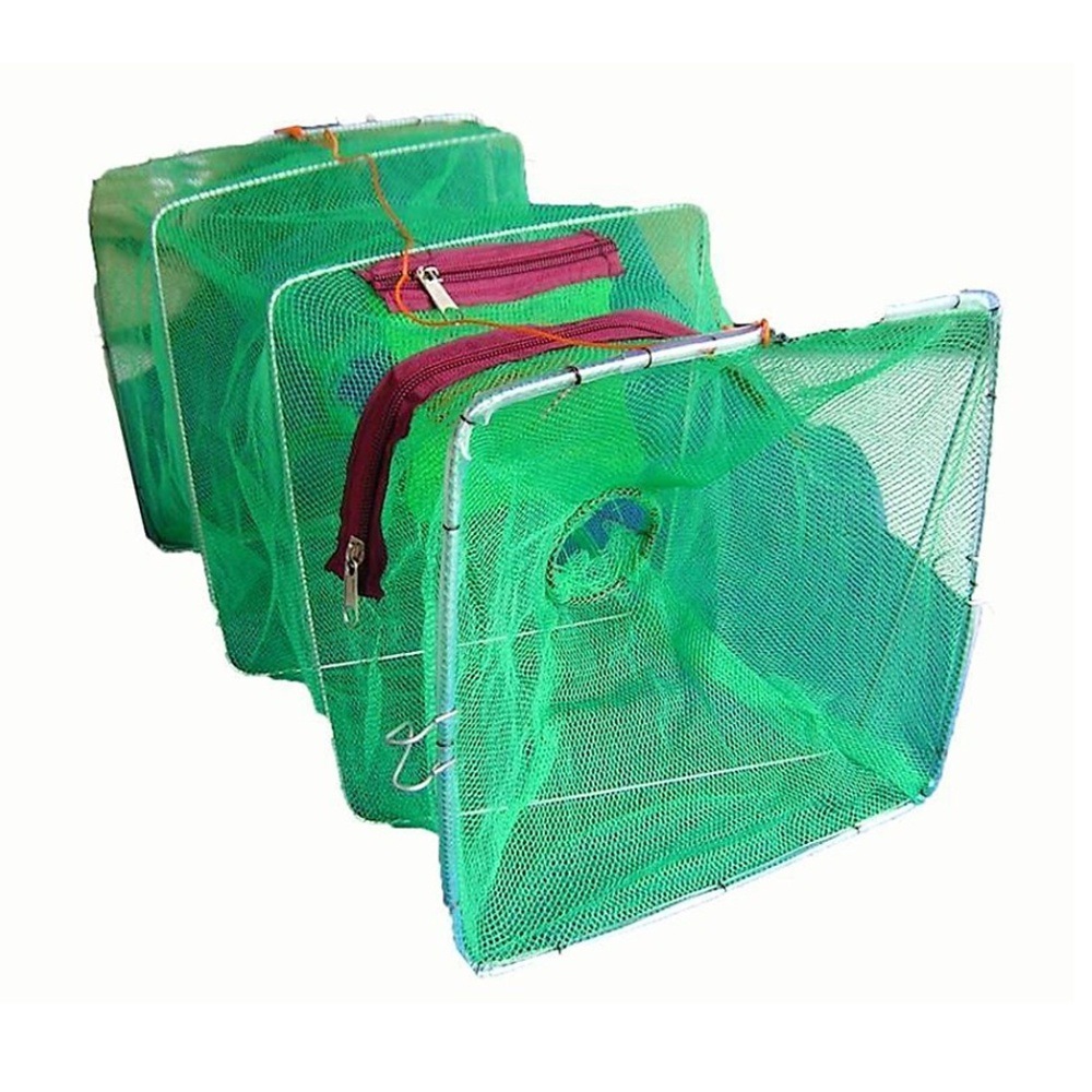 Buy Seahorse Collapsible Shrimp/Bait Trap With 2 Inch Entry Rings ...