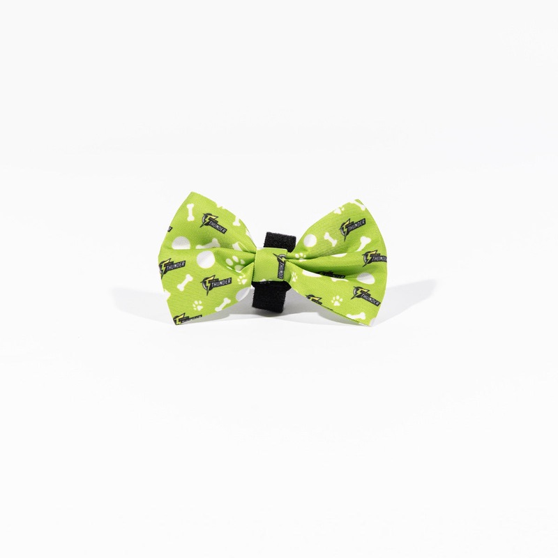 Buy Sydney Thunder BBL Dog Bowtie - MyDeal