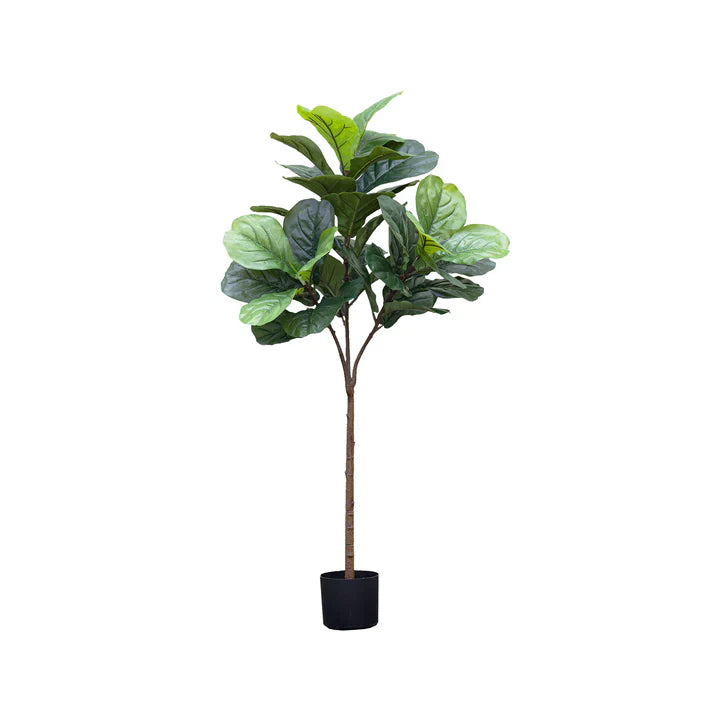 Buy Fiddle Leaf Tree in Pot 132cm Artificial - MyDeal Australia