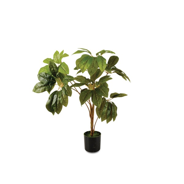 Buy Schefflera Artificial Plant - MyDeal Australia