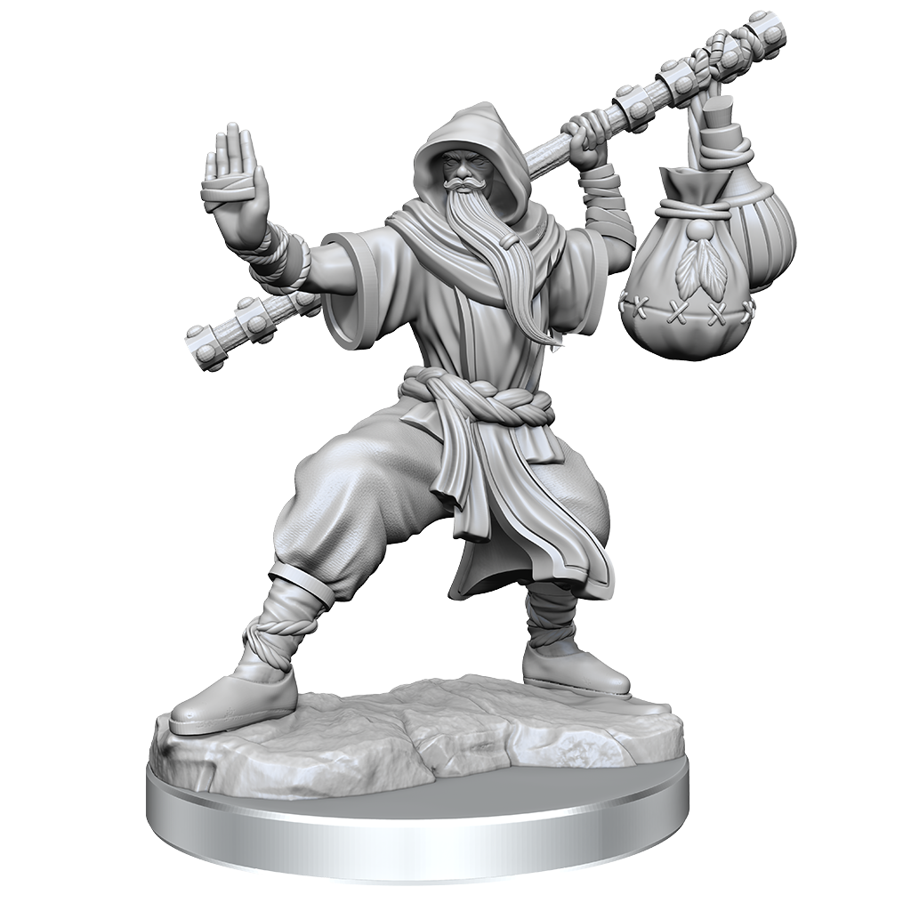Buy Dungeons & Dragons Frameworks Human Monk Male - MyDeal Australia