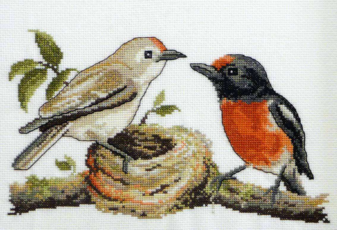 Buy Country Threads Fiona Jude X Cross Stitch Kit Red Capped Robins ...