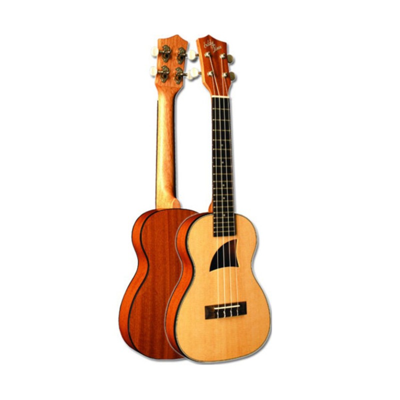 Buy Eddy Finn Concert Uke Travel Uke TRVC - MyDeal