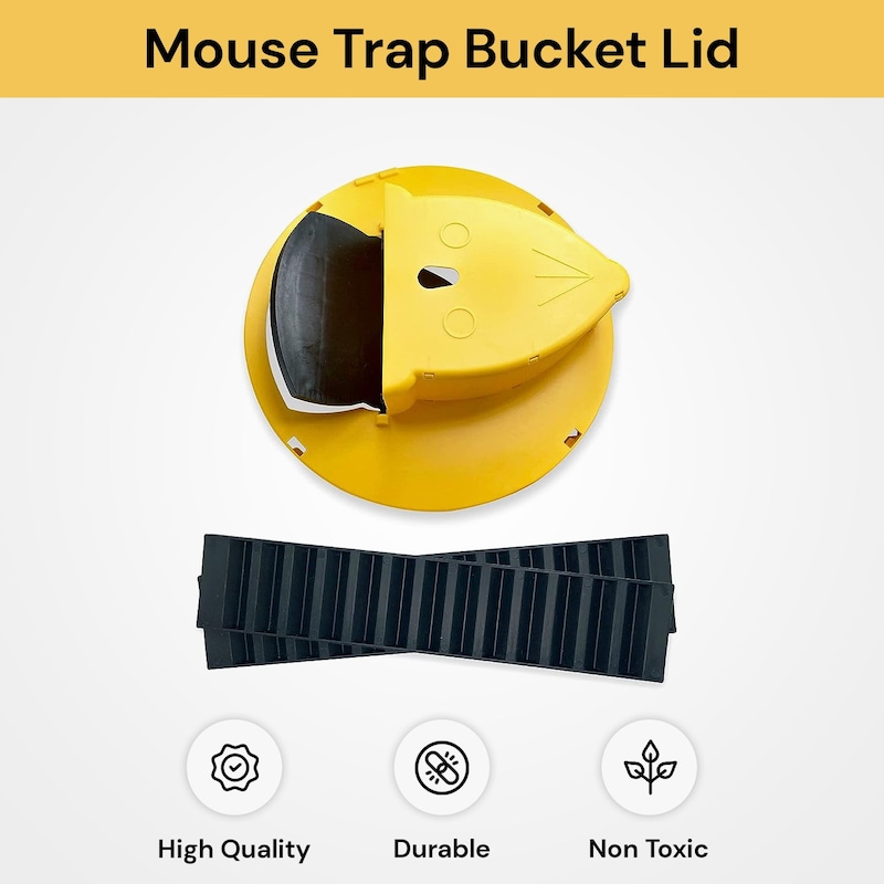 Buy EZONEDEAL Continuous Mouse Trap-Bucket Mouse Traps - Flip N Slide ... Buy EZONEDEAL Continuous Mouse Trap-Bucket Mouse Traps - Flip N Slide ...