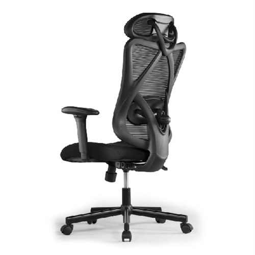 Buy Brateck Lumbacker Ergo Office Chair Mesh Fabric [CH05-21] - MyDeal ...