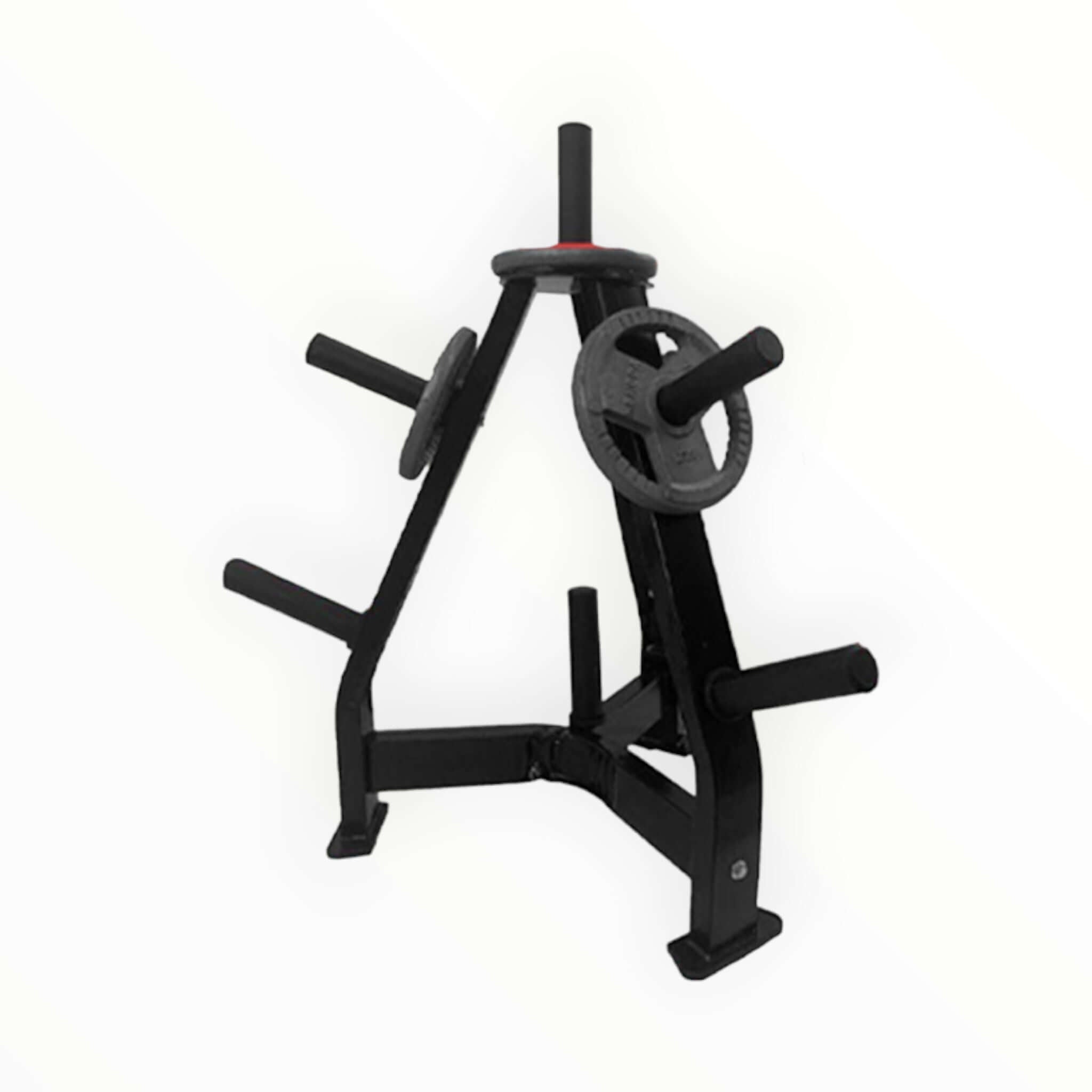 Buy 8 Pin Vertical Weight Plate Rack - MyDeal Australia