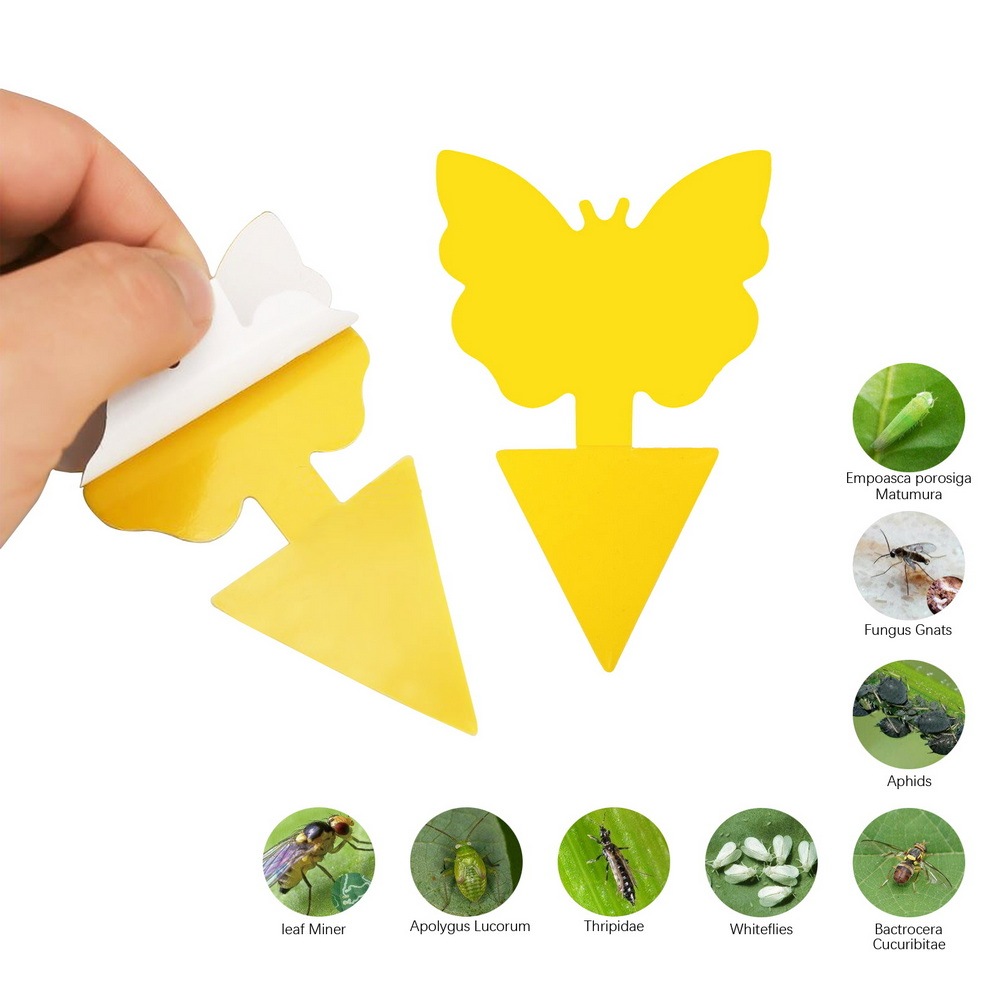 Buy 100X Dual Side Sticky Insect Trap Catcher Killer Fly Aphids Wasp ...