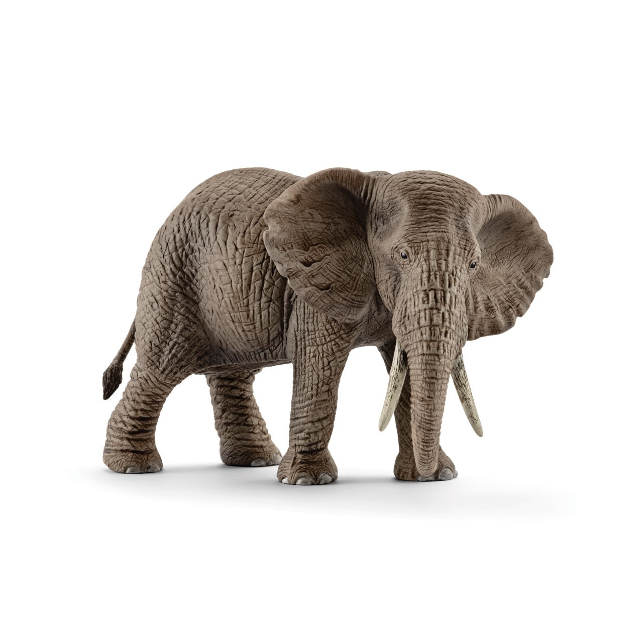 Buy Schleich African Elephant Female - MyDeal Australia
