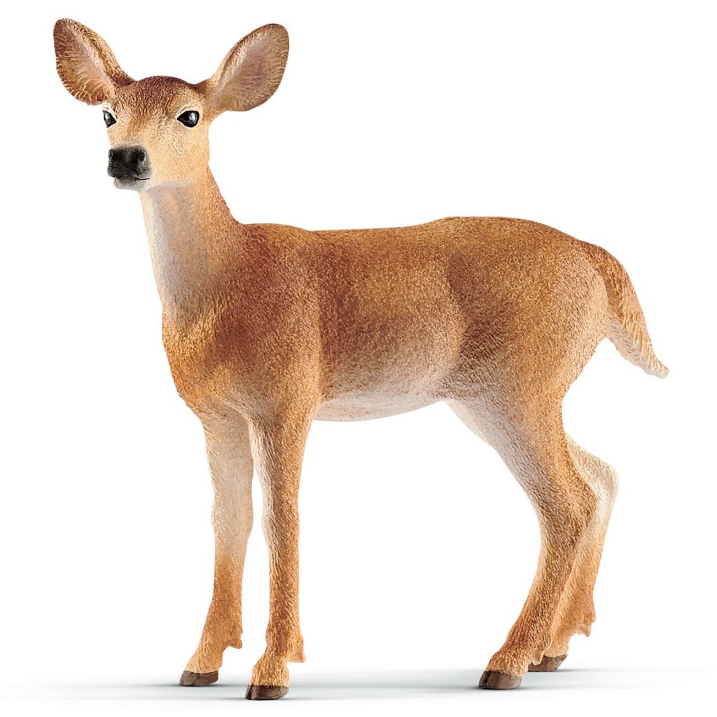 Buy Schleich Deer White-Tailed Doe - MyDeal Australia