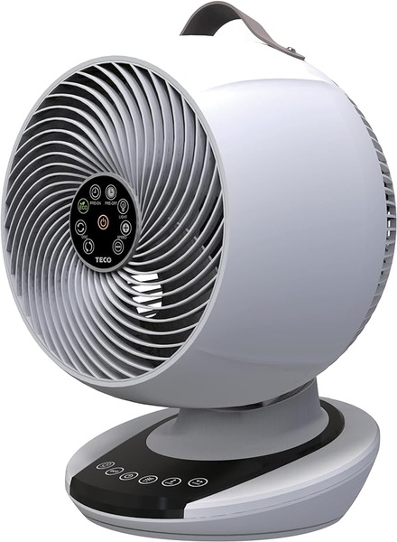 Buy Teco 25cm ECO Desktop Fan - MyDeal Australia