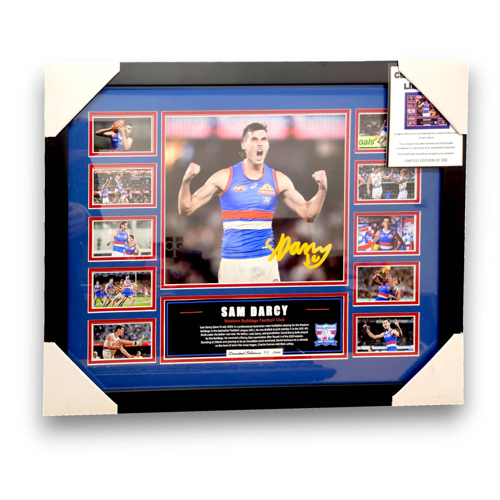 Buy Sam Darcy Western Bulldogs 56CM x 46CM Team Poster Wooden Frame ...