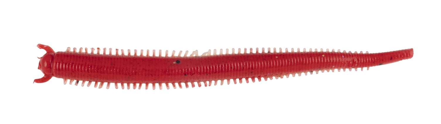 Buy Berkley Gulp 2022 Fat Sandworm 4" Soft Plastic Fishing Lure #Red ...