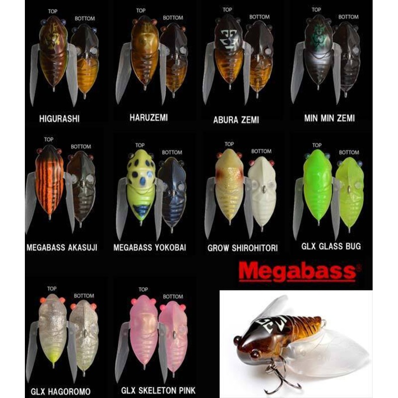 Buy Megabass Siglett 36mm Cicada Topwater Surface Fishing Lure #GLX ...
