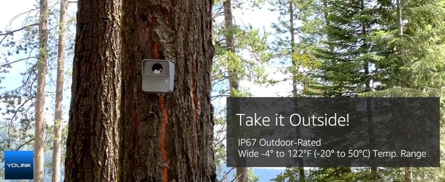 Buy Yolink Lora Smart Outdoor Motion Sensor Starter Kit, Driveway Alert ...