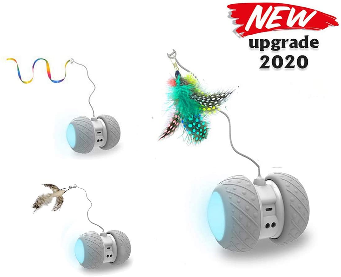 Buy PetDroid Boltz Robotic Cat Toy Interactive,Attached with Feathers ...