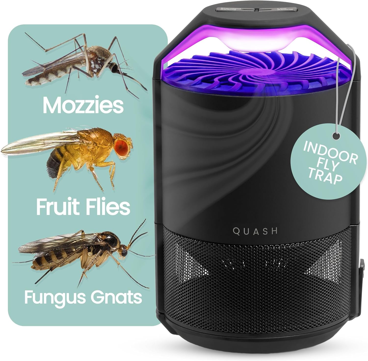 Buy QUASH Indoor Fly Trap – Non-Zapper Mosquito & Bug Killer – Gnats ...