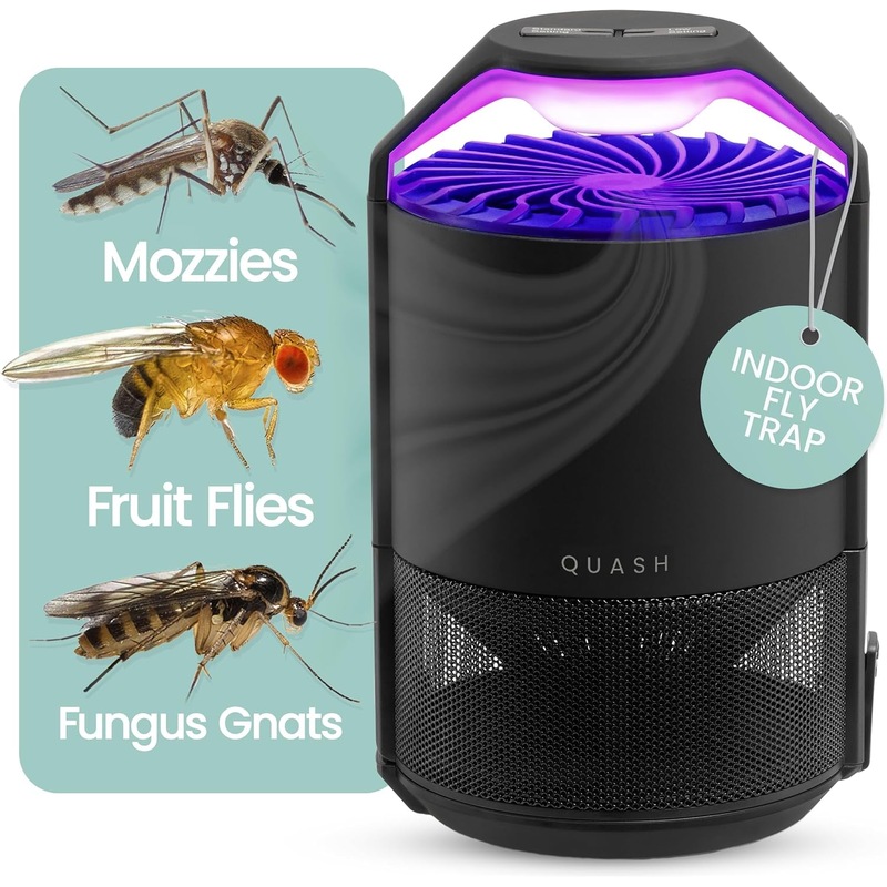 Buy QUASH Indoor Fly Trap – Non-Zapper Mosquito & Bug Killer – Gnats ...