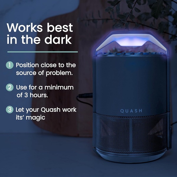 Buy QUASH Indoor Fly Trap – Non-Zapper Mosquito & Bug Killer – Gnats ...