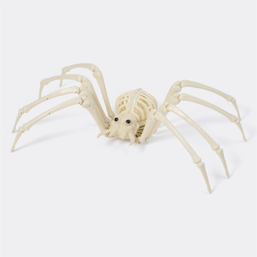Buy Halloween Giant Skeleton Spider 20cm - MyDeal Australia