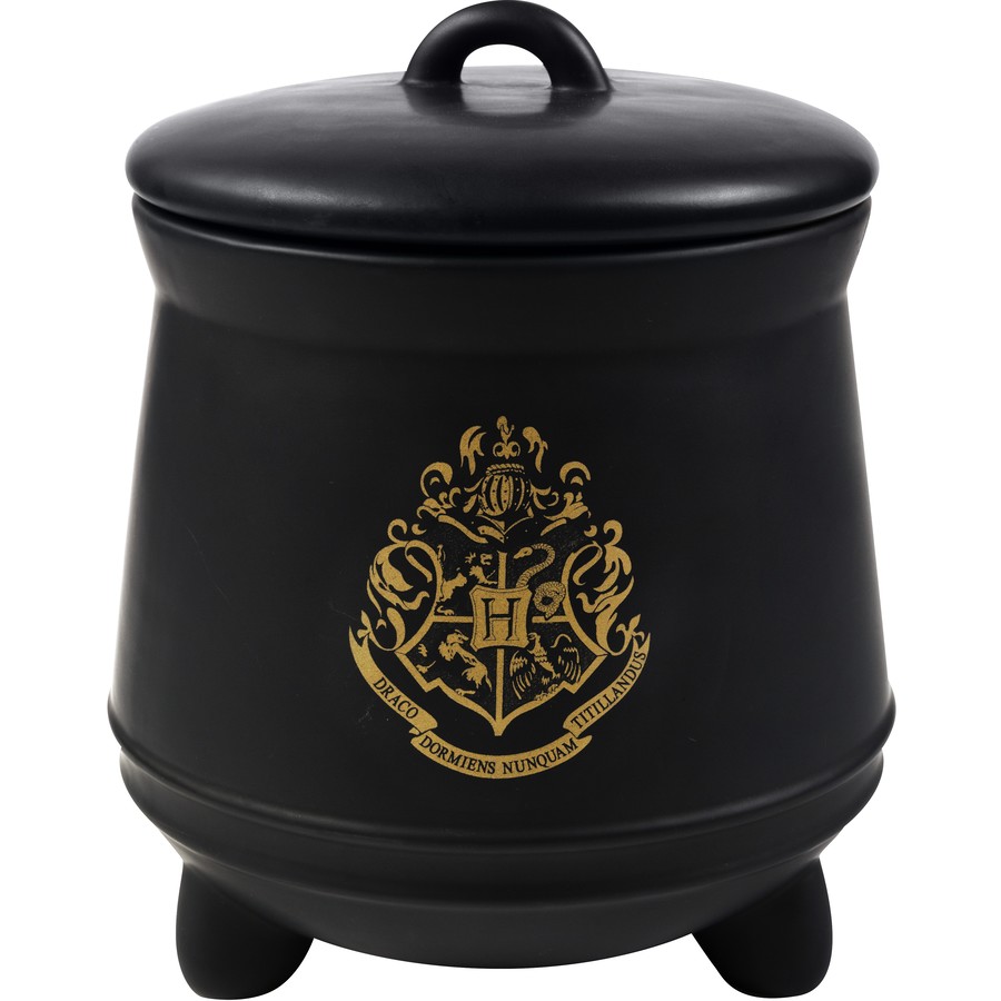 Buy Harry Potter Cookie Jar - MyDeal Australia