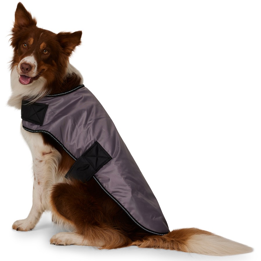Buy Tails Element Pet Jacket 50cm - Grey - MyDeal Australia