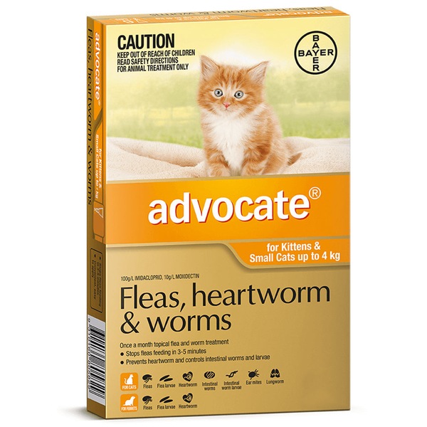 Buy ADVOCATE CAT 0-4KG SMALL CATS & KITTENS 6'S - MyDeal Australia