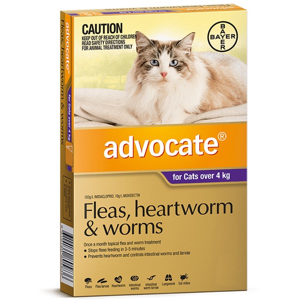 Buy ADVOCATE CAT 4KG PLUS LARGE 3'S - MyDeal Australia