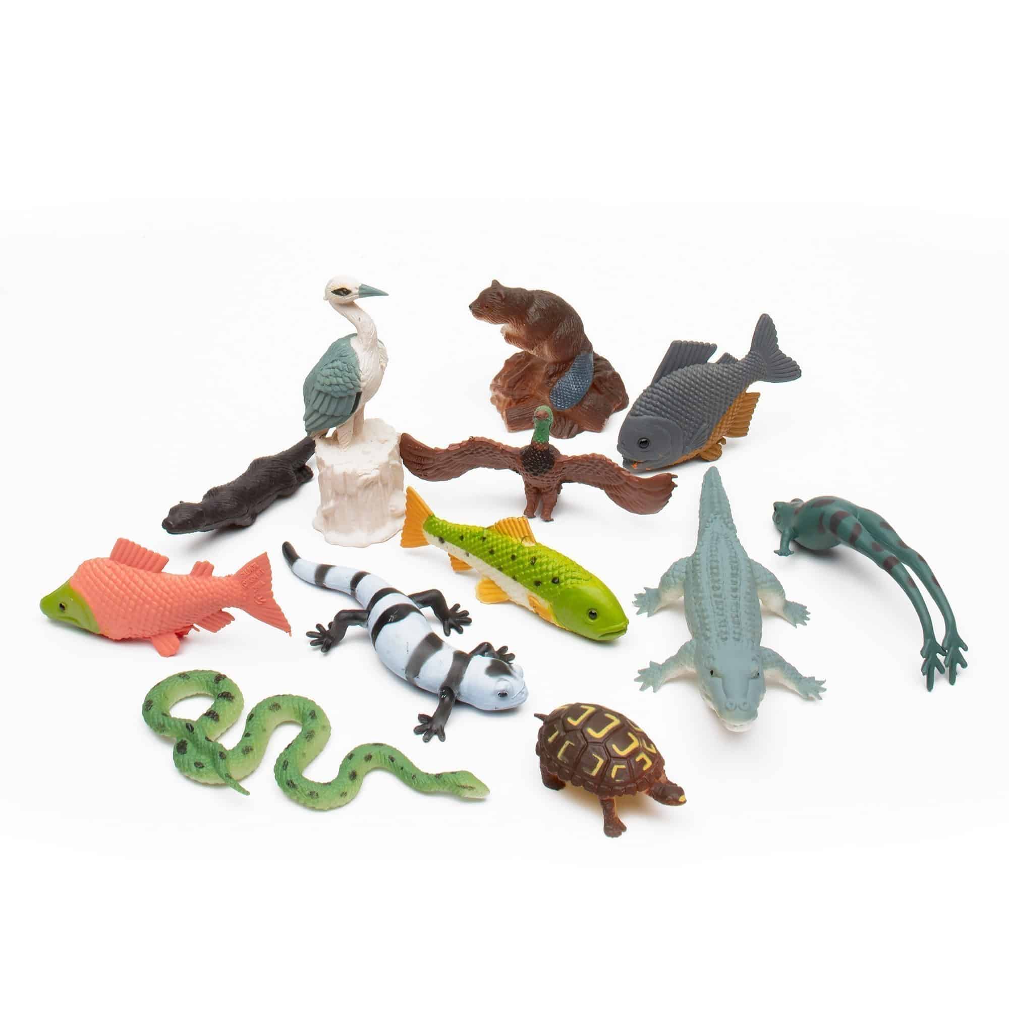 Buy Wild Republic - Nature Tube - River Creatures - MyDeal Australia