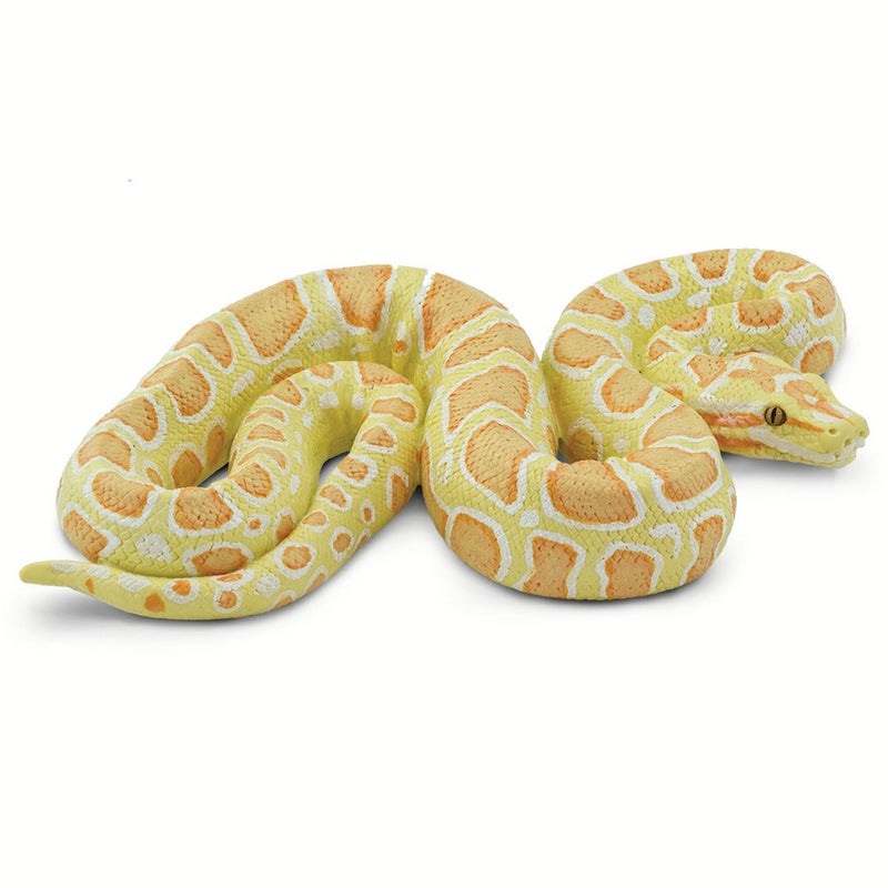 Buy Safari Ltd Albino Burmese Python - MyDeal Australia