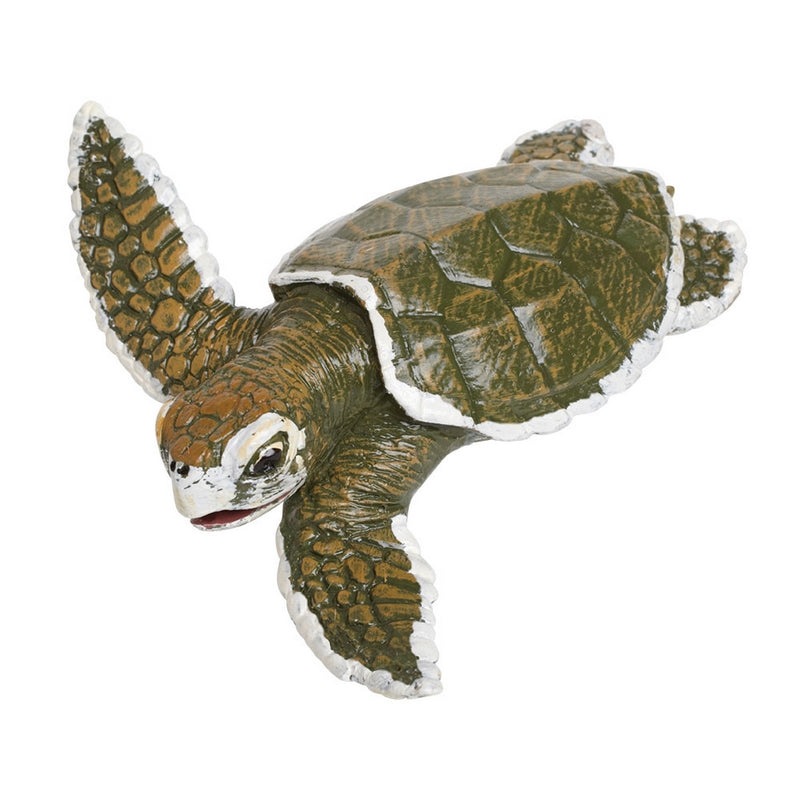 Buy Safari Ltd Kemps Ridley Sea Turtle Baby - MyDeal Australia