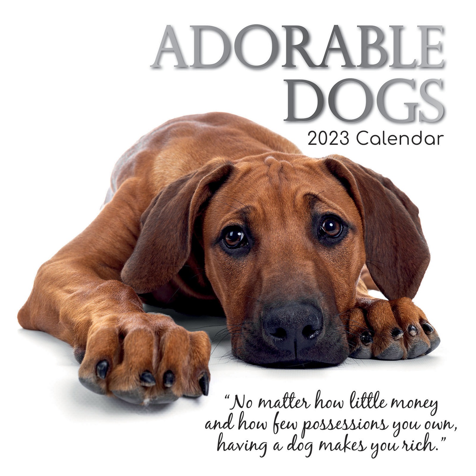 Buy 2023 Calendar Adorable Dogs Square Wall by The Gifted Stationery ...