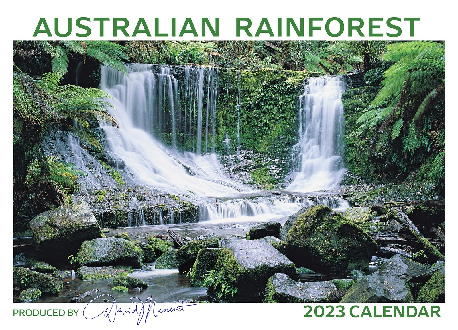 Buy 2023 Calendar Australian Rainforest Wall by David Messent ...
