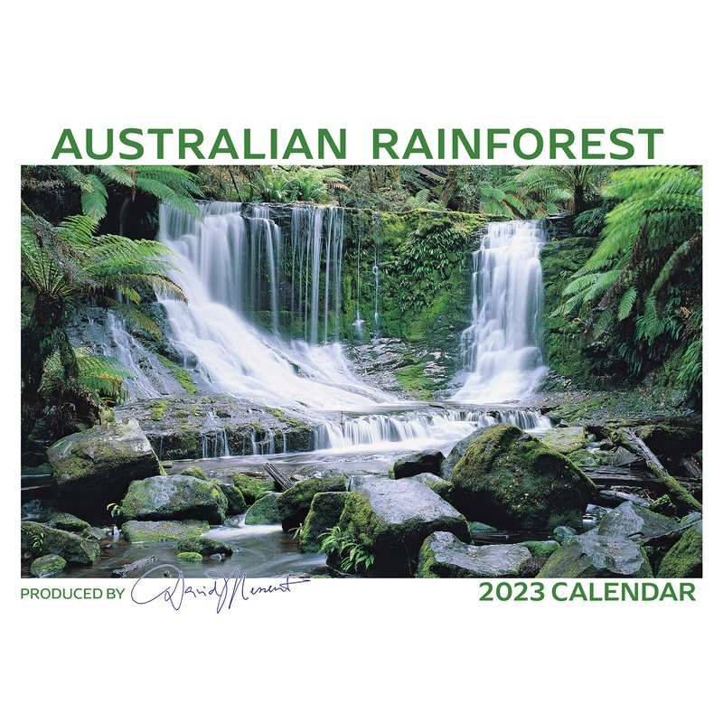Buy 2023 Calendar Australian Rainforest Wall by David Messent ...