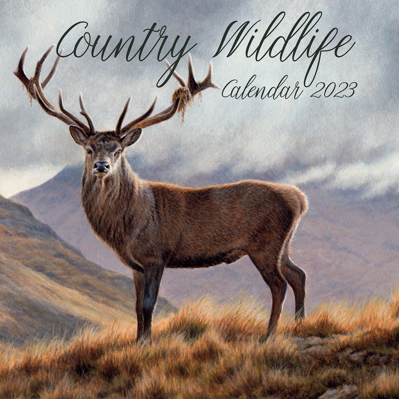Buy 2023 Calendar Country Wildlife Square Wall by The Gifted Stationery ...