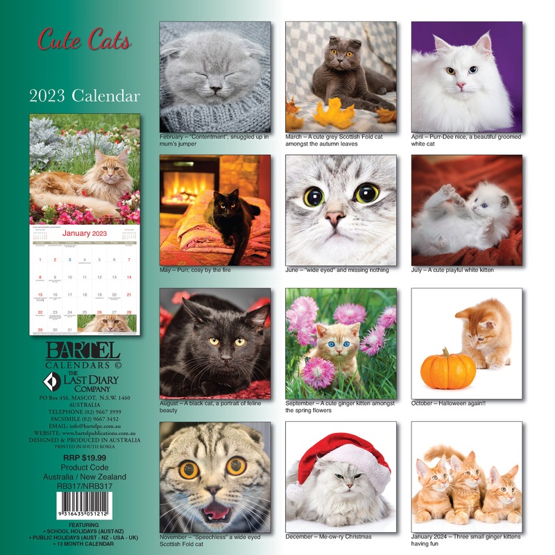 Buy 2023 Calendar Cute Cats Ruby Square Wall by Bartel RB317 - MyDeal