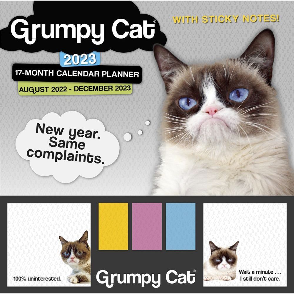 Buy 2023 Calendar Grumpy Cat 17-Month Sticky Note Square Wall, Sellers ...