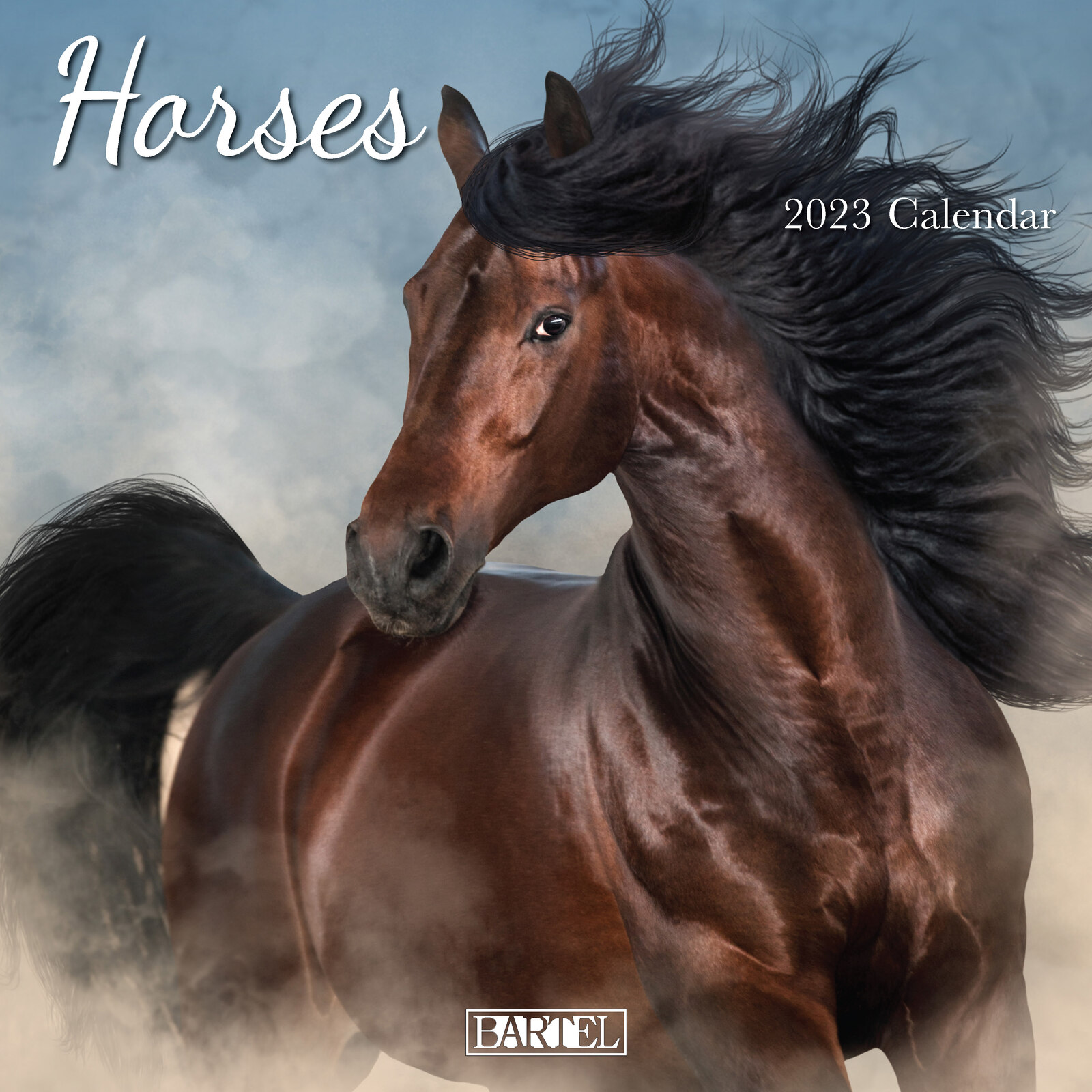 Buy 2023 Calendar Horses Ruby Square Wall by Bartel RB331 - MyDeal ...