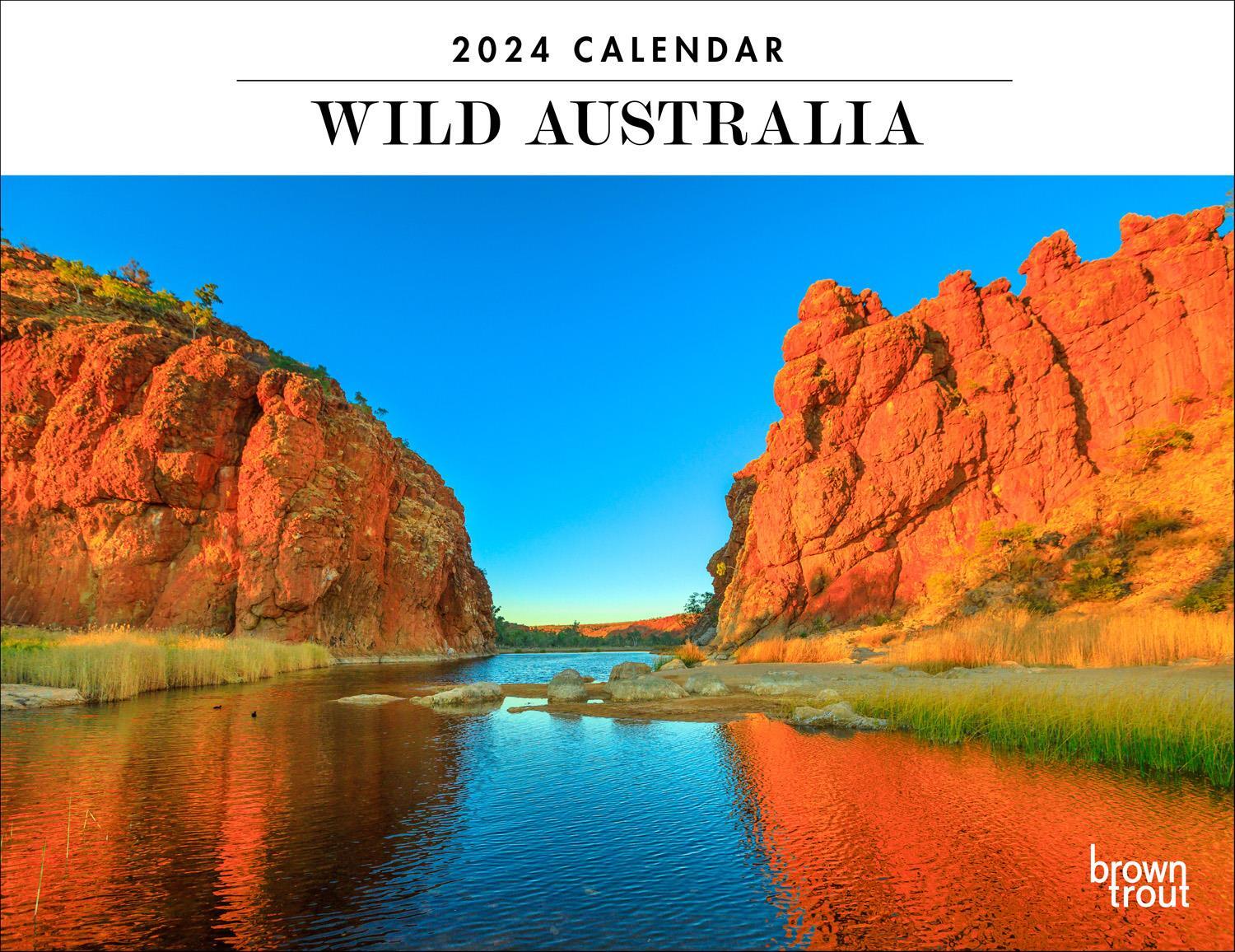 Buy 2024 Calendar Wild Australia Horizontal Wall Browntrout A03209 ...