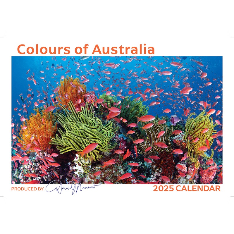 Buy 2025 Calendar Colours of Australia Wall David Messent COLC - MyDeal