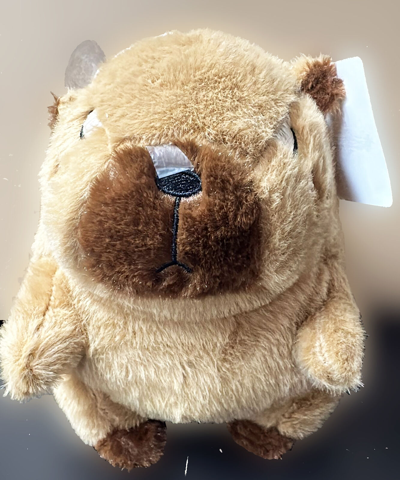 Buy Capybara Plush 21cm Capybara PL-CAPY21 - MyDeal Australia