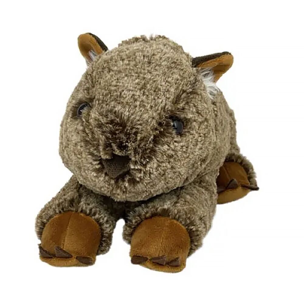 Buy My Australia Plush 25cm Wombat Australian Souvenir, EJF E9019 ...