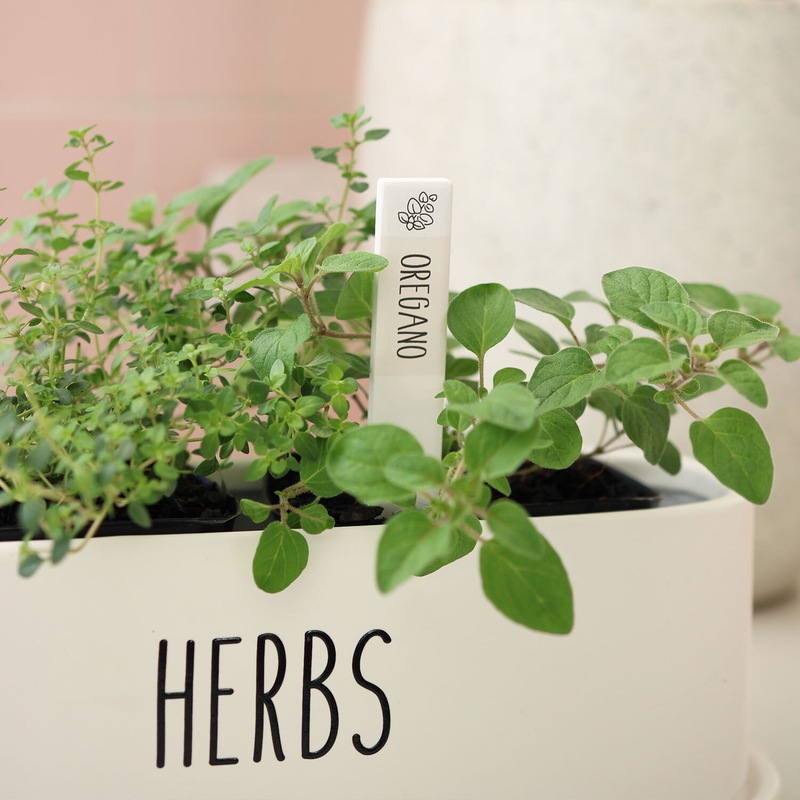 Buy Splosh Herb Label Home Grown Oregano, Ceramic Plant Label Garden ...