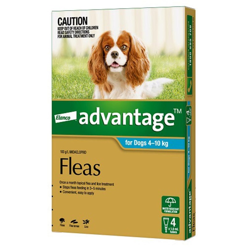 Buy Advantage Dog 4-10Kg Medium 4'S Teal - MyDeal