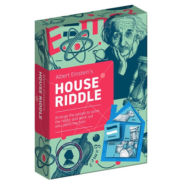 Buy Professor Puzzle Albert Einsteins House Riddle - MyDeal Australia