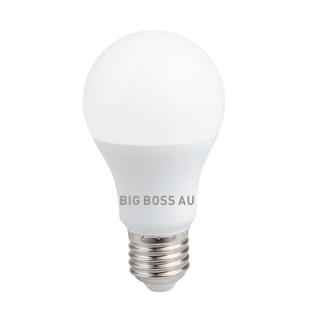 Buy BULK LED 12W AC/DC 240V Light Globes Bulbs Lamp A60 GLS Screw E27 ...