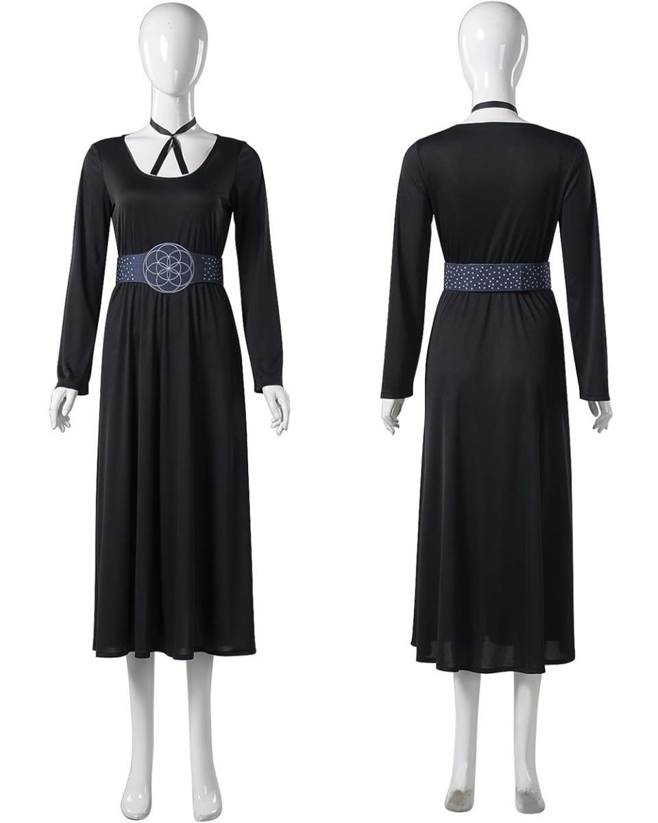 Buy Ghost Bride Lydia Deetz Womens Costume - MyDeal Australia