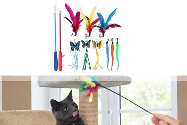 Buy 11 Pcs Interactive Cat Toy Set Telescopic Cat Wand with Feather ...